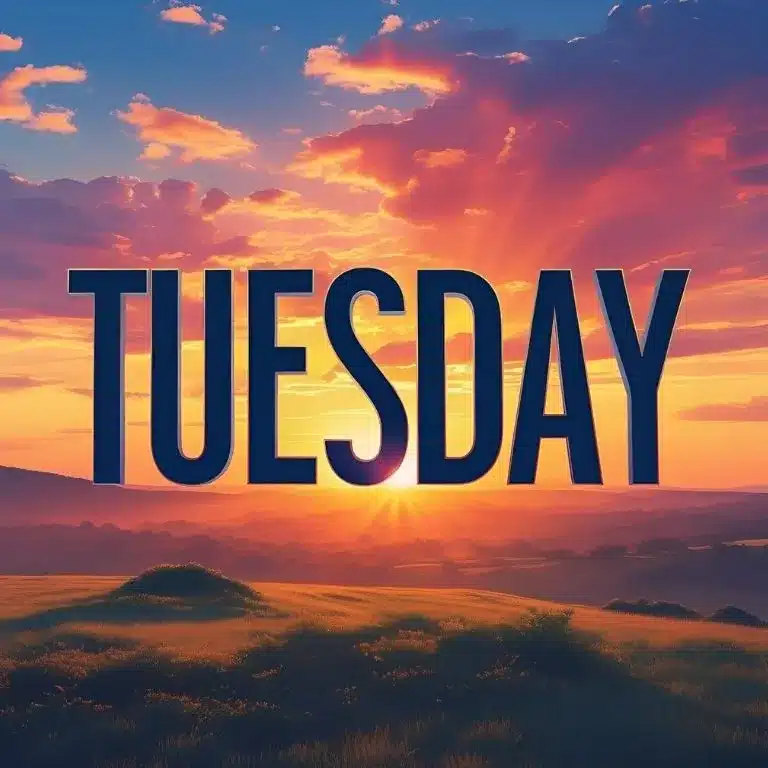 80+ Tuesday Inspirational Quotes to Brighten Your Week