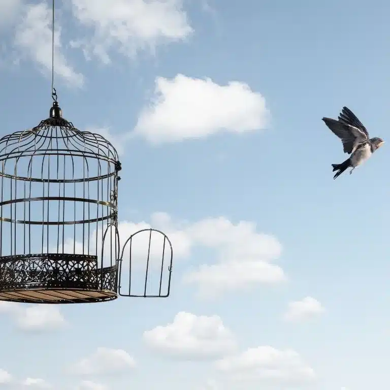 80+ Short Quotes About Freedom